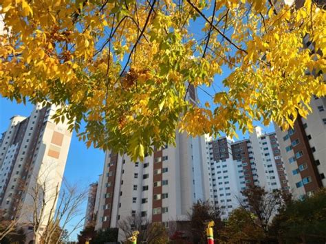 일산중산동 하늘마을5단지 휴먼시아아파트 031 977 1717 네이버 블로그