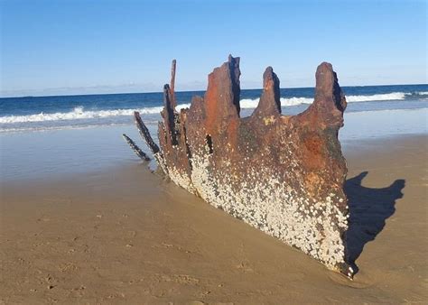 Dicky Beach Australia 2024 Best Places To Visit Tripadvisor