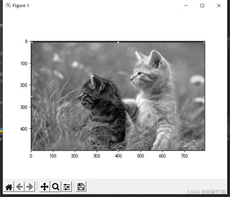 nndl 作业5：卷积 cmap gray csdn博客