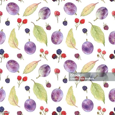 매화와 블랙베리 수채화 일러스트 흰색 배경에 매끄러운 패턴 우아하고 현대적인 디자인으로 여름에 딱 0명에 대한 스톡 벡터 아트 및 기타 이미지 Istock