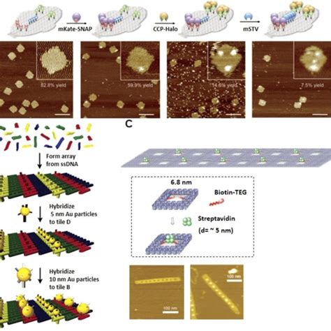 Concept Of Dna Tile And Dna Origami Assembly Methods A Tile Method