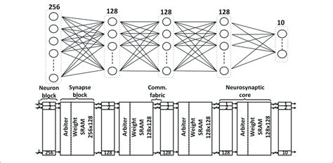 The Proposed Snn Classifier Architecture Bottom With The Maximum Download Scientific The Proposed Snn Classifier Architecture Bottom With The Maximum Download Scientific
