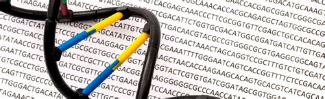 Complete And Accurate Annotation Of Troublesome Gene Regions Anu Centre For Biodiversity Analysis