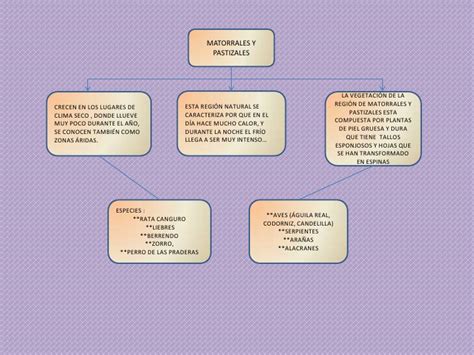 Mapa Conceptual De Las Regiones Naturales De Mexico Demi Mapa Images And Photos Finder