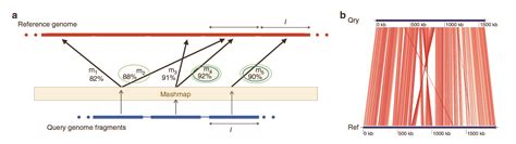 基因组相似性计算：ani 知乎