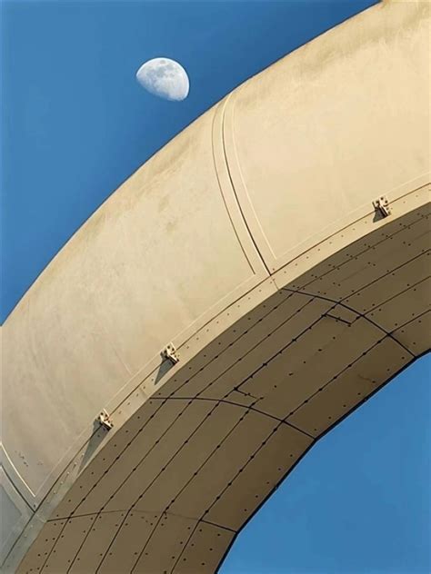 Huawei Executive Showcase Alleged P Pro Camera Samples