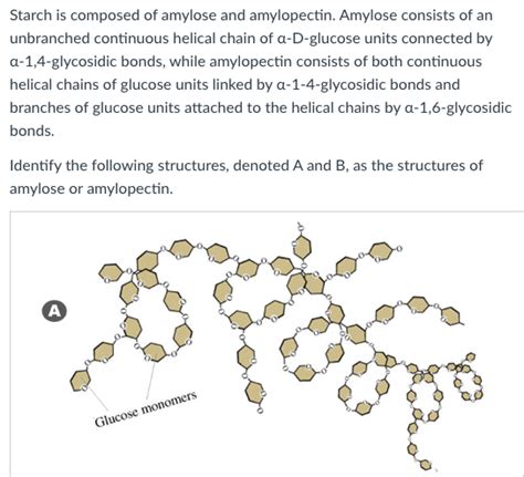 Amylopectin Structure
