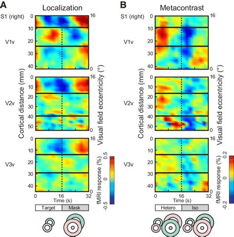 Spatiotemporal Fmri Responses In Areas V1v V2v And V3v Subject S1 Download Scientific