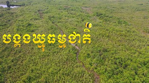 របរដាក់បង្គងឃ្មុំធម្មជាតិរបស់ប្រជាកសិករស្រុកបន្ទាយស្រី ខេត្តសៀមរាប