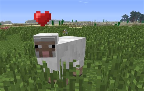 🔥 [40 ] Minecraft Sheep Wallpapers Wallpapersafari
