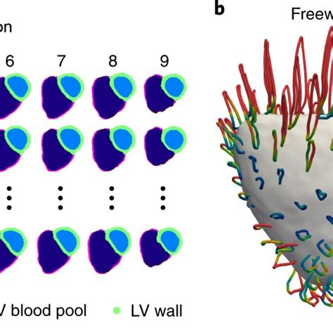 Segmentation And Motion Estimation A An Example Of An Automatic