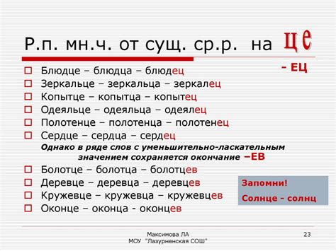 Изменение по падежам и числам Словарь школьника презентация онлайн