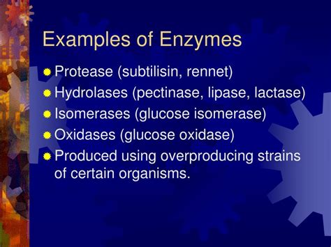 Ppt Large Scale Enzyme Production Powerpoint Presentation Free