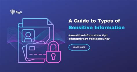 A Guide To Types Of Sensitive Information Bigid
