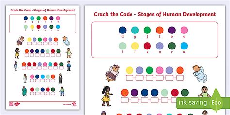 Crack The Code Stages Of Human Development Twinkl