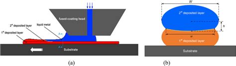 Solid Fraction Distribution In A Longitudinal Section And B Download Scientific Diagram