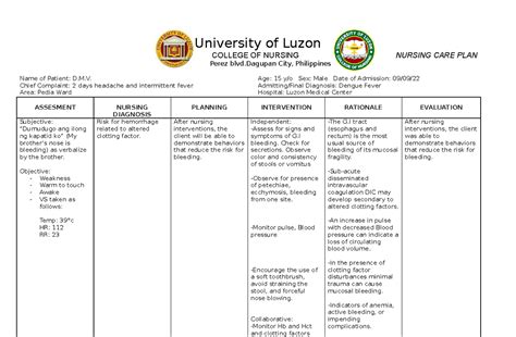 Dengue Ncp Final Supplemental University Of Luzon College Of Nursing Nursing Care Plan