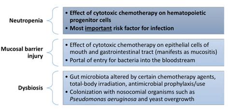 Lecture 4 Part 2 Febrile Neutropenia Flashcards Quizlet