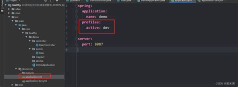 从零开始搭建springboot项目，并且用mybatis进行数据查询（包含所用数据库） springboot mybatis进行数据库交互