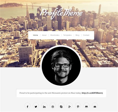 Minisite WordPress Themes To Promote Social Media Profiles WP Solver