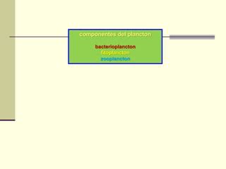 Bioligia Acuatica Pptx