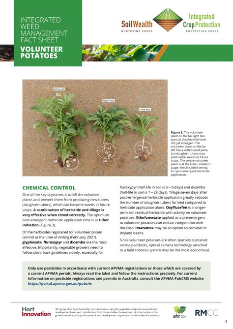 Integrated Weed Management Volunteer Potatoes Ausveg