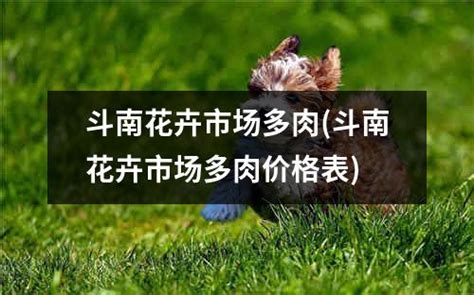 斗南花卉市场多肉批发 斗南花卉市场多肉批发价格 养花经验