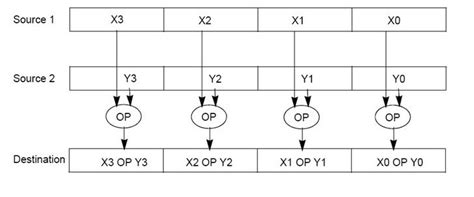 a 01 vectors p a minerva