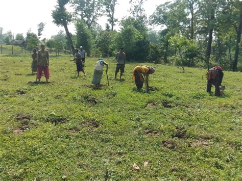 One Million Tree Plantation Banke District Wildlife Conservation
