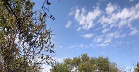 Estabilizado Un Incendio De Vegetación Agrícola En Constantí