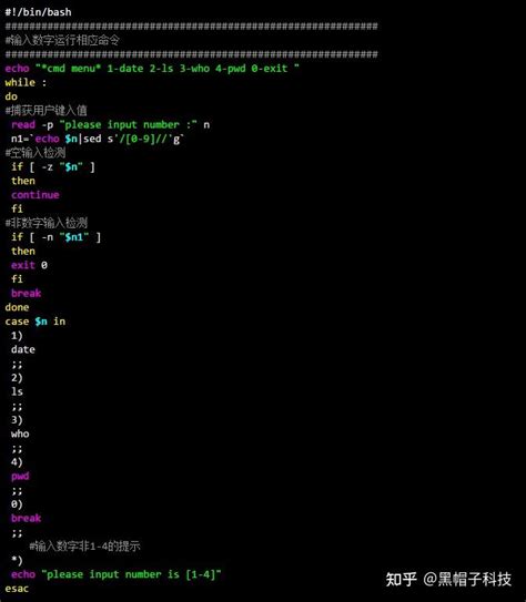 23个shell实用脚本，我愿称你为最强脚本小子 知乎