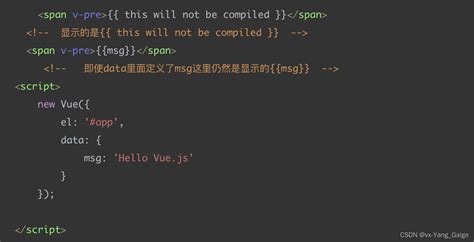 vue 基础（1） vue中vx是什么意思 csdn博客