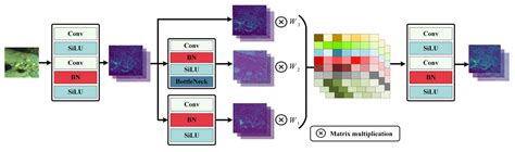 Awf Yolo Enhanced Underwater Object Detection With Adaptive Weighted