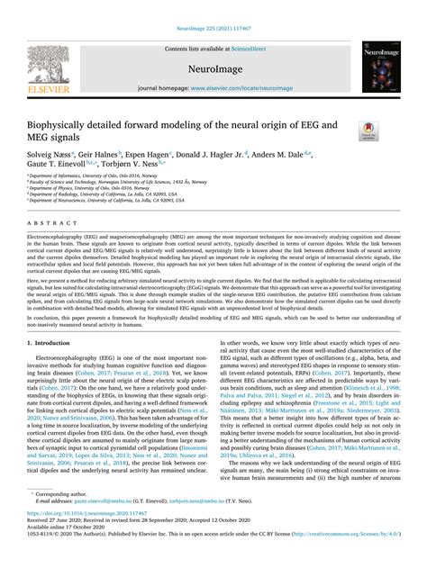 Pdf Biophysically Detailed Forward Modeling Of The Neural Origin Of Eeg And Meg Signals
