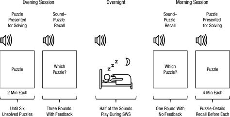 Figure 2 From Targeted Memory Reactivation During Sleep Improves Next Day Problem Solving