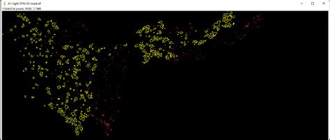 Macro Results Vary When Calling It Via Pyimagej Usage And Issues
