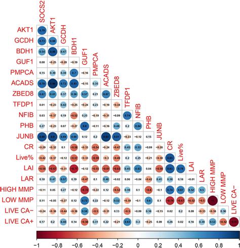 Correlation Matrix Of Sperm Functional Parameters With Selected Genes Download Scientific