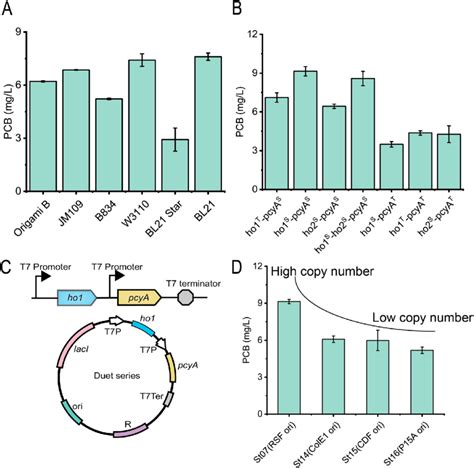 Construction Of The Initial Strain A Effect Of Chassis Strains On Pcb Download Scientific