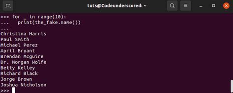 How To Use Faker In Django Code Underscored