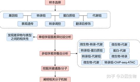技术介绍丨如何进行多组学联合分析，一起来看看吧！ 知乎