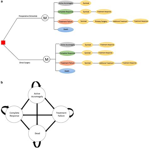 A Decision Analytic Model Schematic Representing The Health States