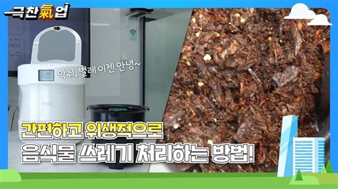 극찬기업 악취 벌레 이젠 안녕~ 간편하고 위생적으로 음식물 쓰레기 처리하는 방법 Youtube
