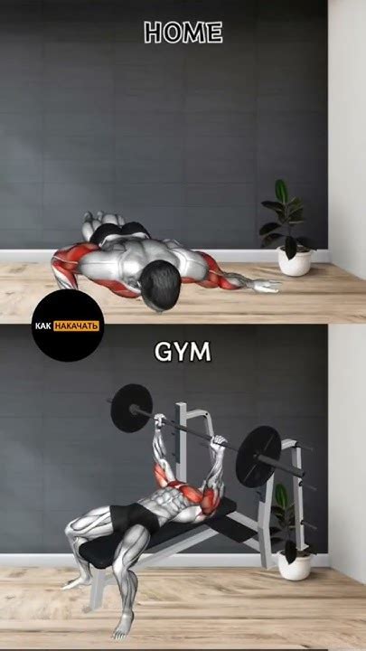 как накачать грудь грудные мышцы какнакачать какнакачатьмышцы какнакачаться Youtube