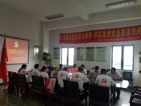 惠中党支部召开第二季度党员大会上海市水利工程协会