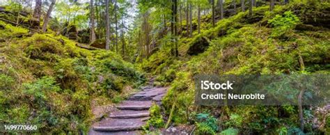 드레스덴과 체코 국경 작센 독일 근처 국립 공원 작센 스위스의 하이킹 코스에서 마법의 동화 숲의 탁 트인 전망 0명에 대한 스톡