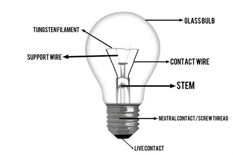 A Guide To Understanding LED Bulb Wiring