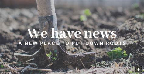 A Place To Put Down Roots Common Roots Urban Farm