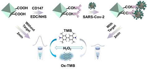 基于mil 101 Cufe 增强的类过氧化物酶活性用于sars Cov 2快速、准确和可视化检测 X Mol资讯