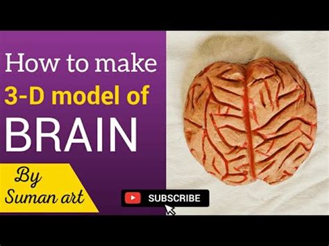 How To Make A D Model Of Brain For Babe Project Activity YouTube