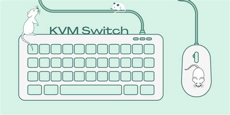 What Does A Kvm Switch Do Bzbgear